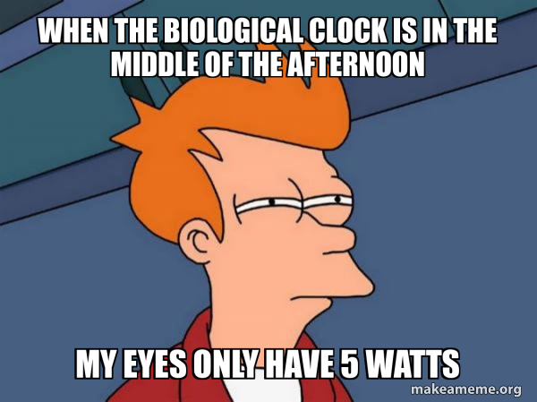 when the biological clock is in the middle of the afternoon my eyes ...