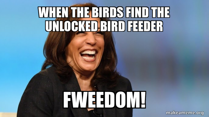 When the birds find the unlocked bird feeder FWEEDOM! - kamala harris ...