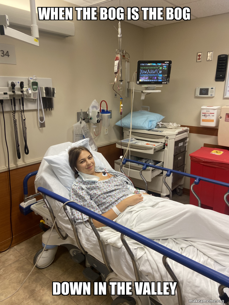 When the Bog is the bog Down In the valley Meme Generator