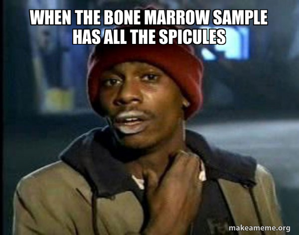 when the bone marrow sample has all the spicules - Dave Chappelle ...
