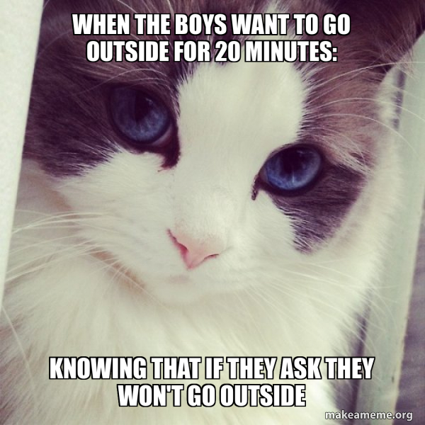when the boys want to go outside for 20 minutes: knowing that if they ...