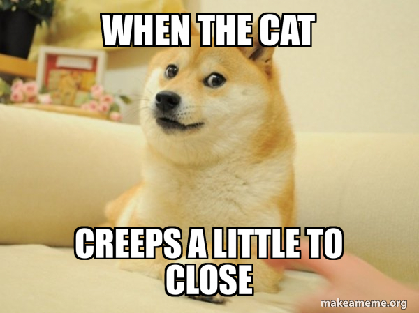 When the cat Creeps a little to close - Doge Meme Generator