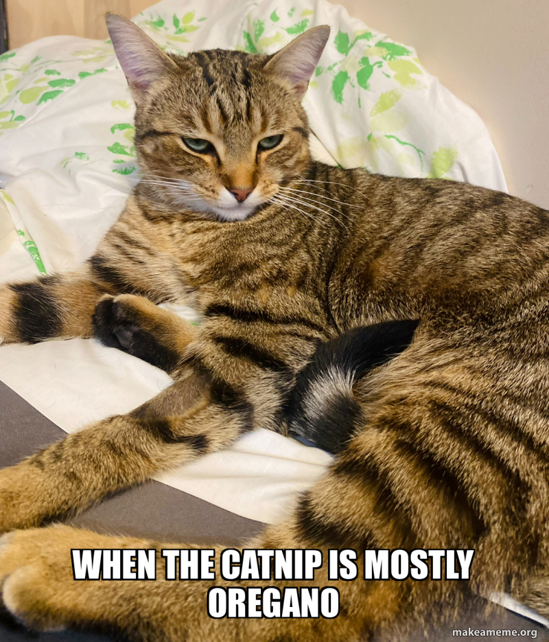 WHEN THE CATNIP IS MOSTLY OREGANO Meme Generator
