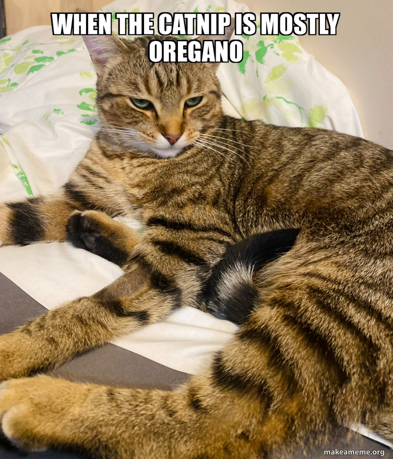 When the catnip is mostly oregano Meme Generator