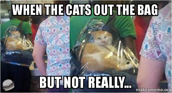 when the cats out the bag but not really... Meme Generator