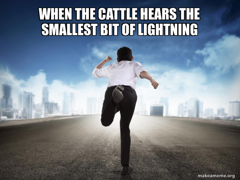 When the cattle hears the smallest bit of lightning Meme Generator
