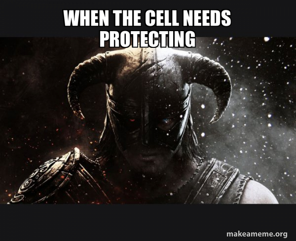 When the cell needs protecting - Skyrim Meme Generator