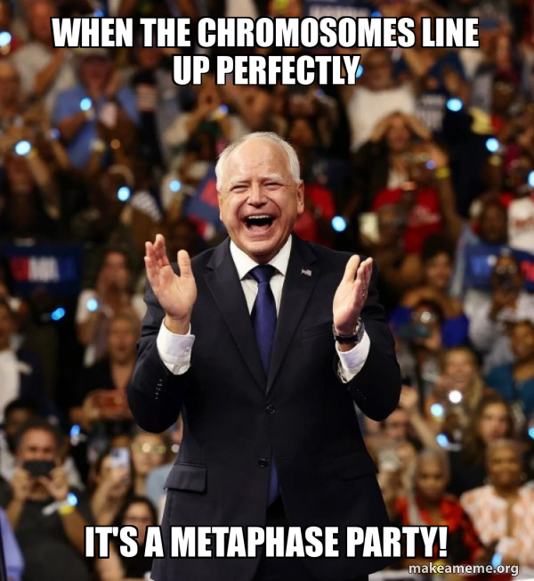 When the chromosomes line up perfectly It's a metaphase party! - Happy ...