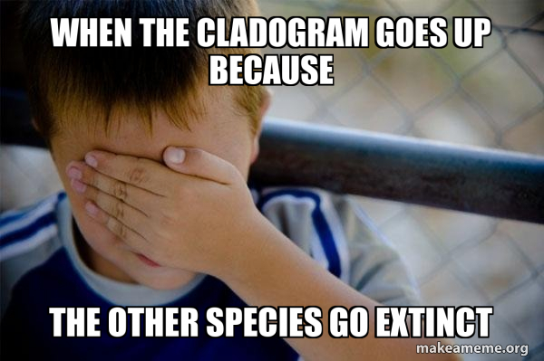 when the cladogram goes up because the other species go extinct ...
