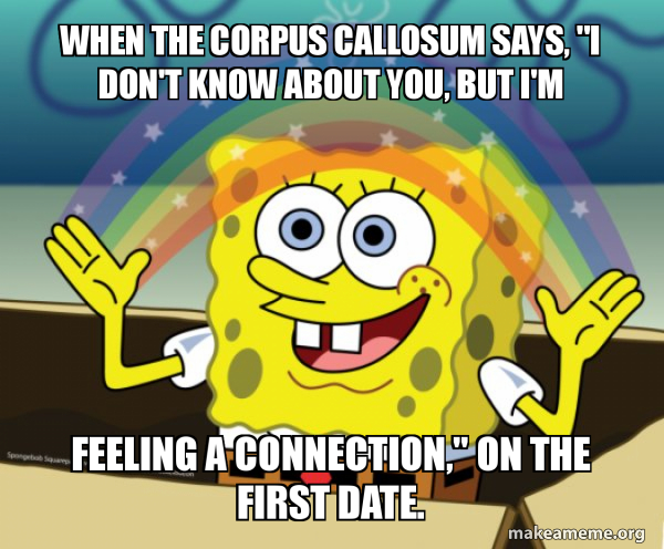 When the Corpus Callosum says, "I don't know about you, but I'm feeling ...