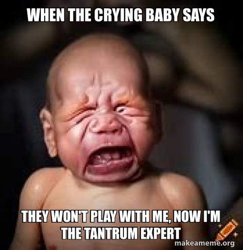 When the crying baby says They won't play with me, now I'm the tantrum ...