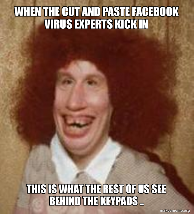 When the cut and paste Facebook VIRUS experts kick in This is what the ...