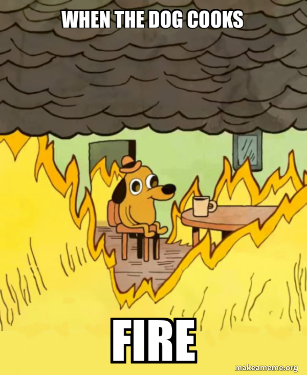 When the dog cooks FIRE - This Is Fine Meme Generator