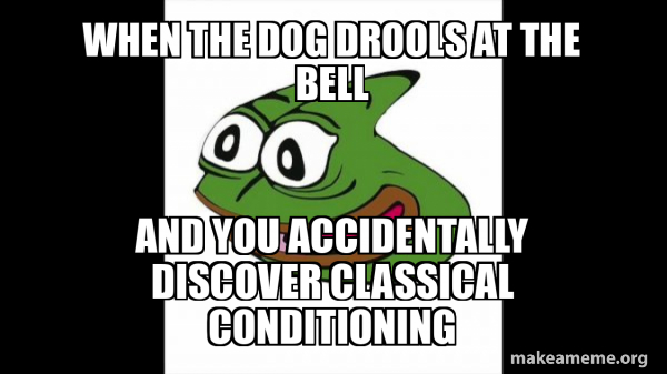 when the dog drools at the bell and you accidentally discover classical ...