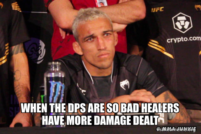 When the dps are so bad healers have more damage dealt Meme Generator
