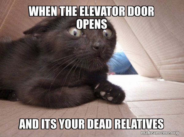 when the elevator door opens and its your dead relatives - Schitzo Cat ...