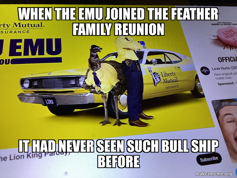 When the emu joined the feather family reunion It had never seen such ...