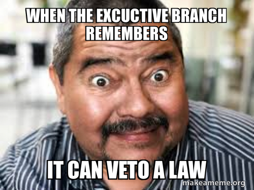 When the Excuctive branch remembers it can veto a law Meme Generator