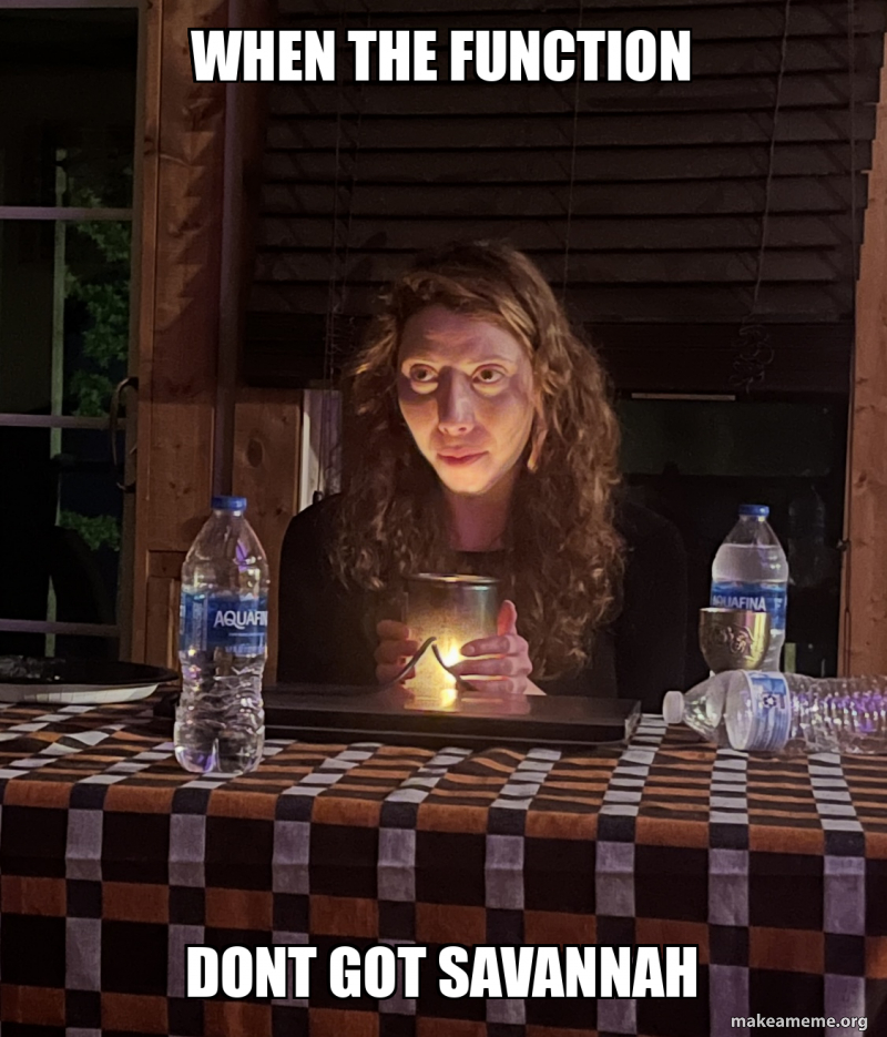 WHEN THE FUNCTION DONT GOT SAVANNAH Meme Generator