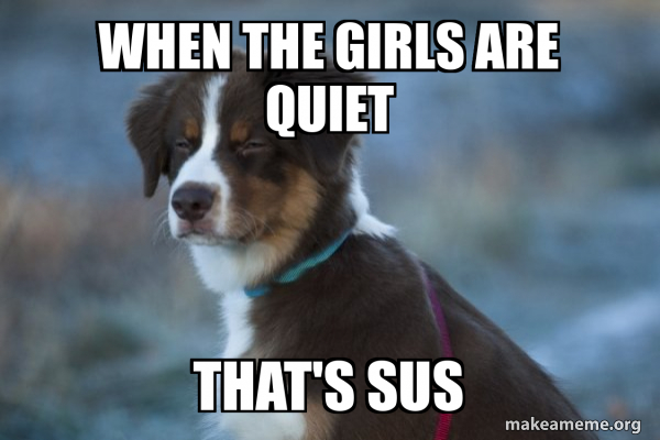 When the girls are quiet That's sus - Unsure Dog Meme Generator