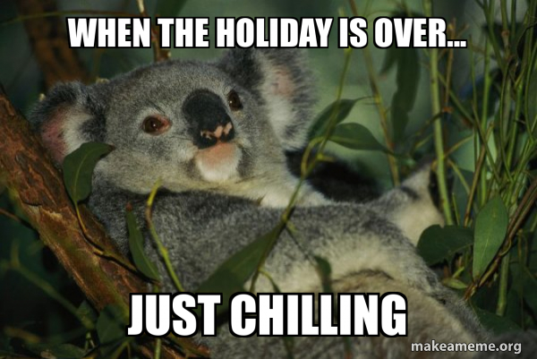 When the holiday is over... JUST CHILLING - Laid Back Koala Meme Generator