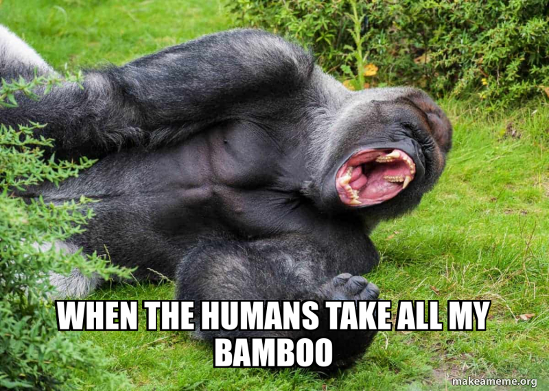 When the humans take all my bamboo Meme Generator