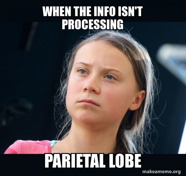 When the info isn't processing Parietal lobe - Greta Thunberg Meme ...