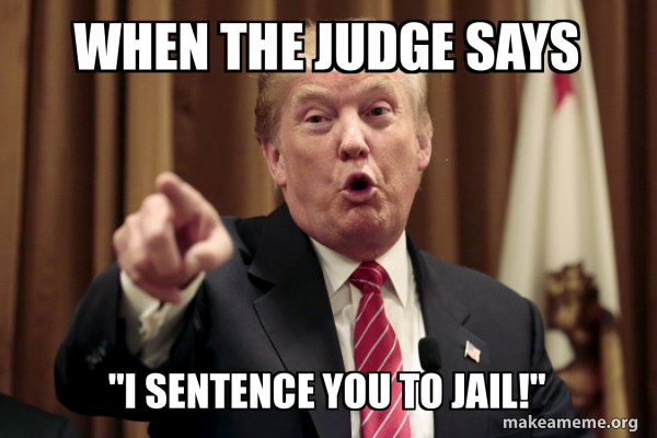 When the judge says "I sentence you to jail!" - Donald Trump Says Meme ...