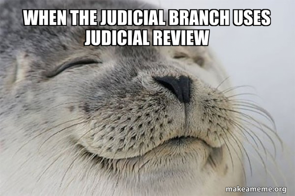 When the Judicial Branch Uses Judicial Review - Satisfied Seal Meme ...