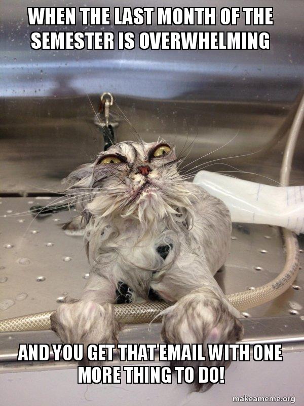 Overwhelmed Meme Thing 20 Relatable Memes That Hit Too Close To Home