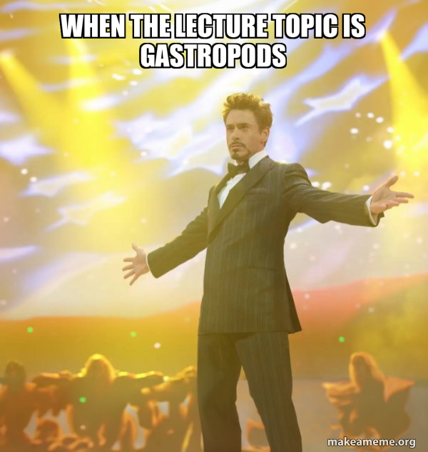 when the lecture topic is gastropods - Tony Stark Success Meme Generator