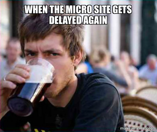 When the Micro site gets delayed again - Lazy College Senior Meme Generator