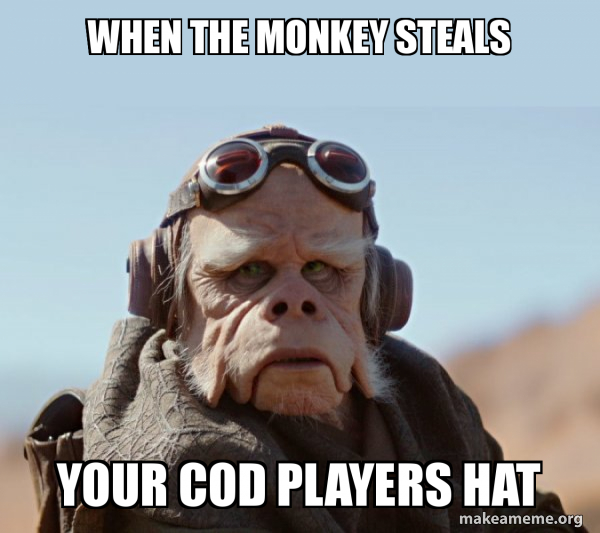 when the monkey steals your cod players hat - The Mandalorian - I Have ...