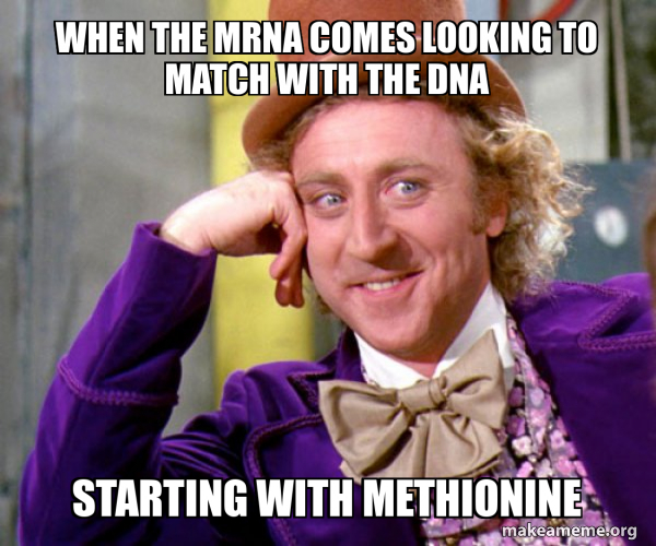 When the mRNA comes looking to match with the DNA Starting with ...