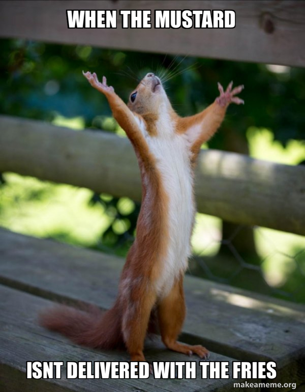 when the mustard isnt delivered with the fries - Happy Squirrel Meme ...