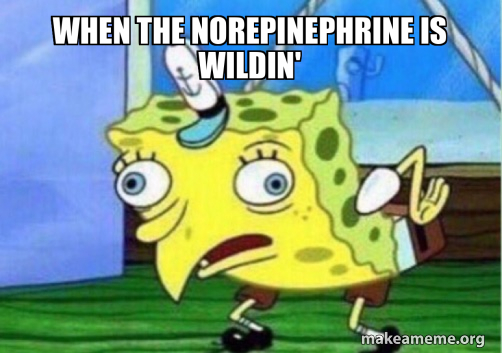 when the norepinephrine is wildin' Meme Generator