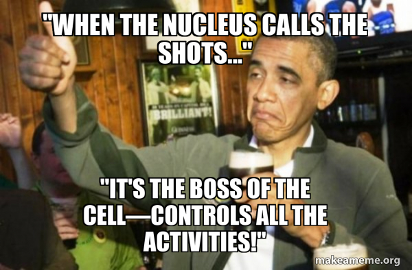 "When the nucleus calls the shots..." "It's the boss of the cell ...