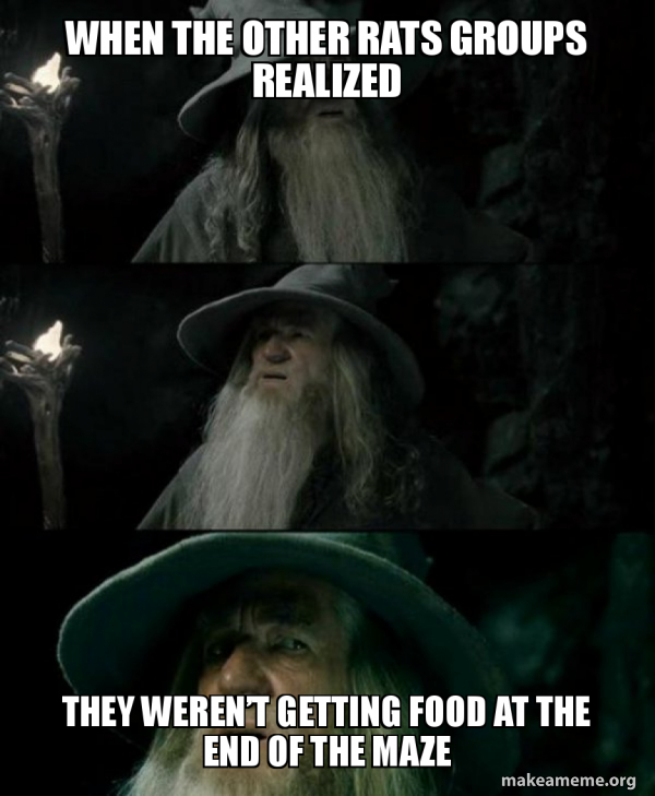 When the other rats groups realized they werenâ€™t getting food at the ...