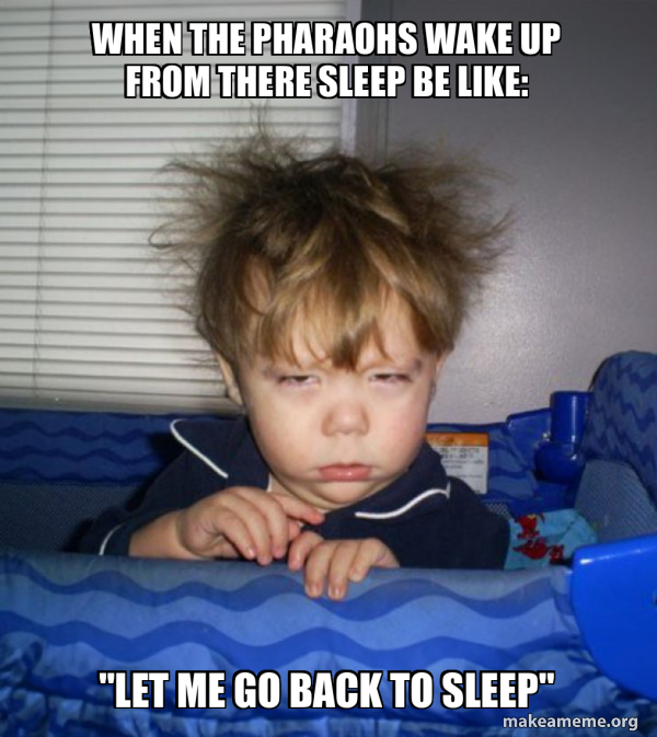 when the pharaohs wake up from there sleep be like: "let me go back to ...