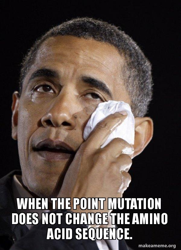 when the point mutation does not change the amino acid sequence ...