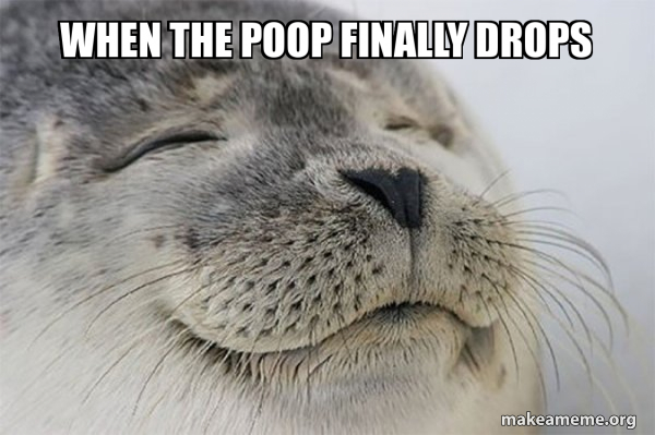 When the poop finally drops - Satisfied Seal Meme Generator
