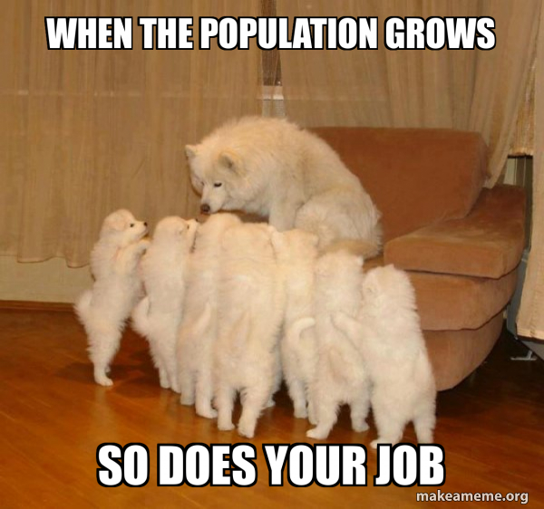 WHEN THE POPULATION GROWS SO DOES YOUR JOB - Storytelling Dog Meme ...