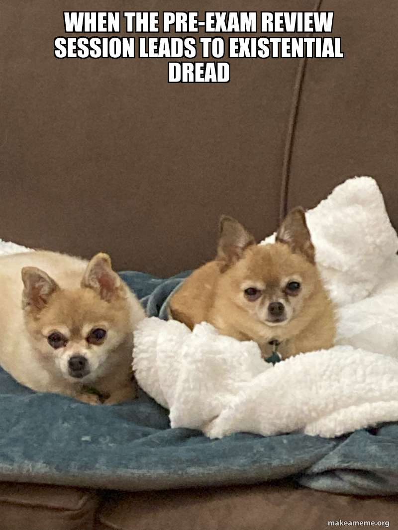 when the pre-exam review session leads to existential dread Meme Generator