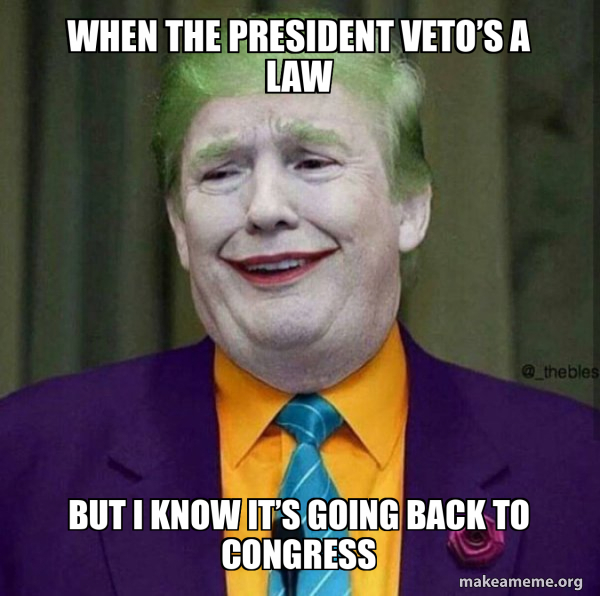 When the president veto’s a law But I know it’s going back to congress ...