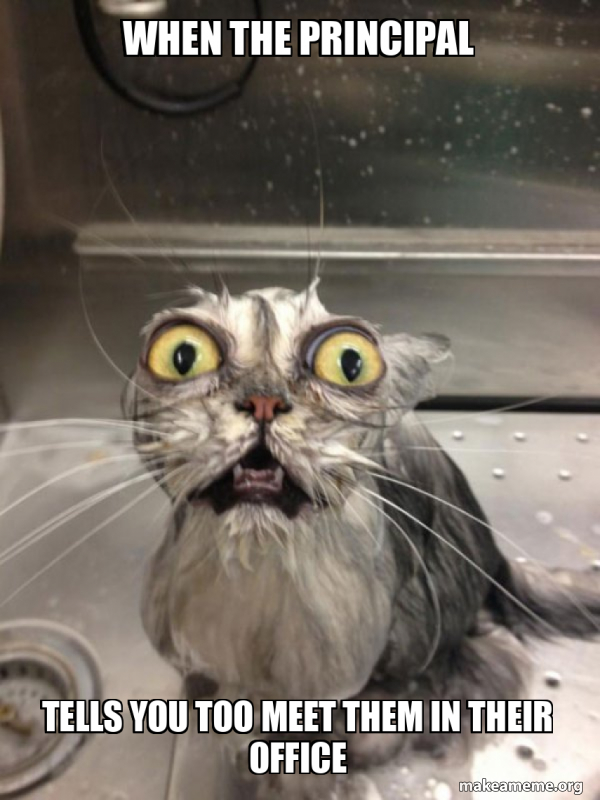 When the principal Tells you too meet them in their office - Cat bath ...