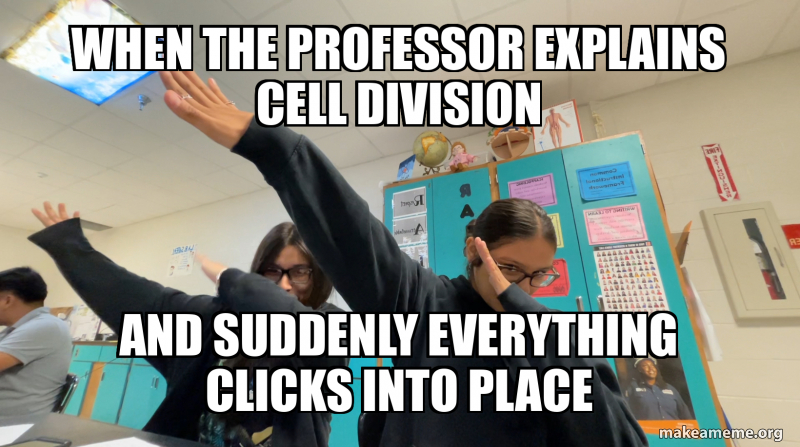 When the professor explains cell division And suddenly everything ...