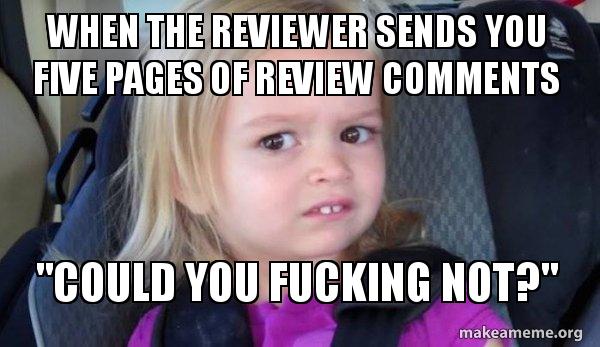 When the reviewer sends you five pages of review comments "could you ...
