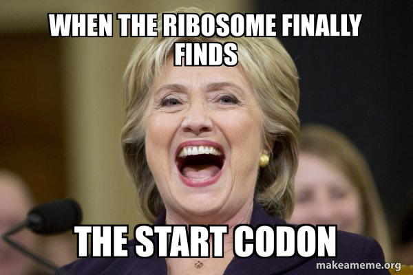 WHEN THE RIBOSOME FINALLY FINDS THE START CODON - Hillary Clinton ...