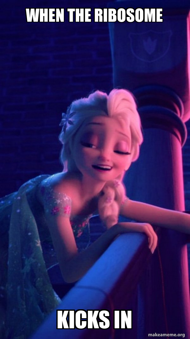 when The Ribosome kicks in - Drunk Elsa Meme Generator