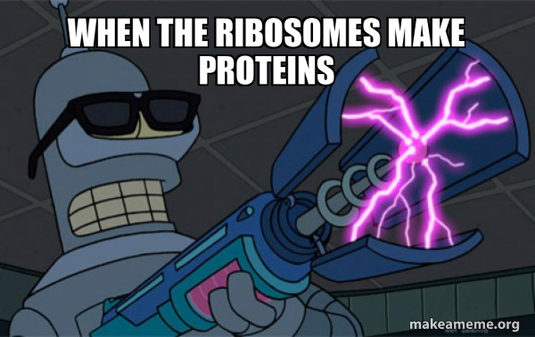 when the ribosomes make proteins - Blasting Bender Meme Generator